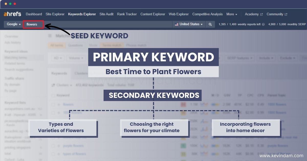 Understanding Different Types of Keywords for Effective SEO Strategy